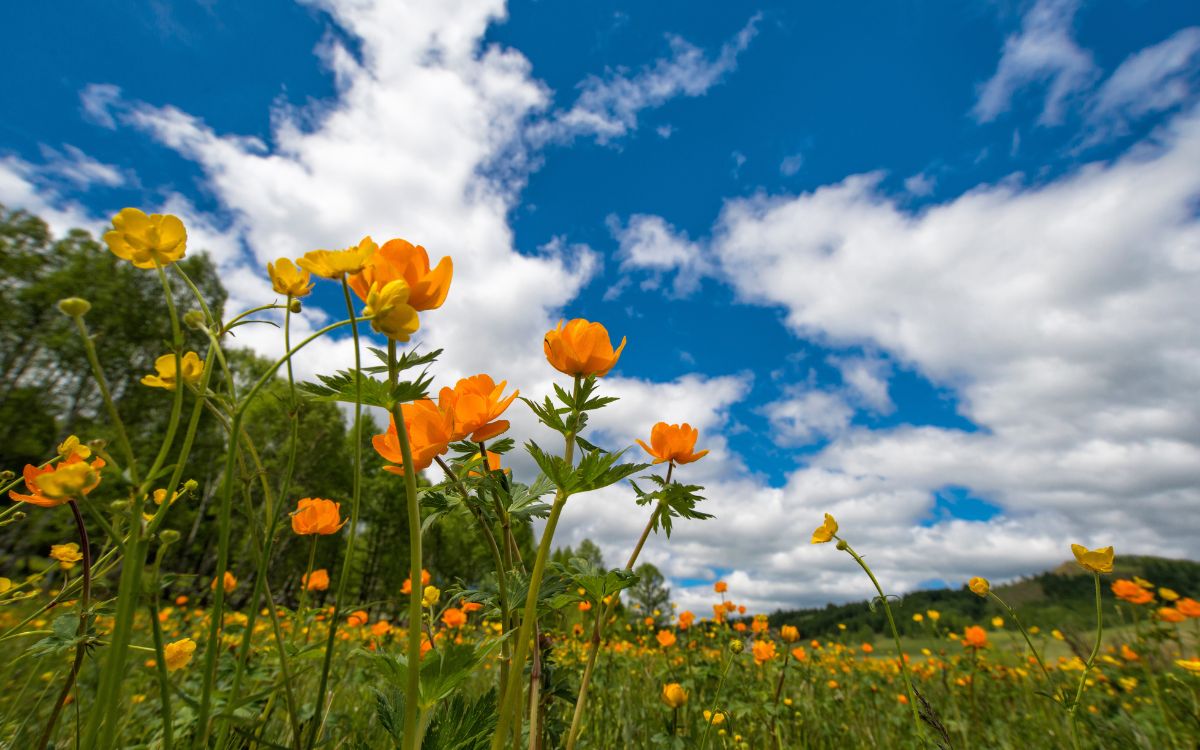 ¿Cuándo empieza la primavera este 2025? | Aristegui Noticias