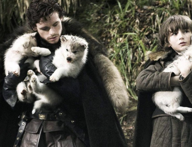Reviven al lobo huargo de la Casa Stark en serie Juego de Tronos ...