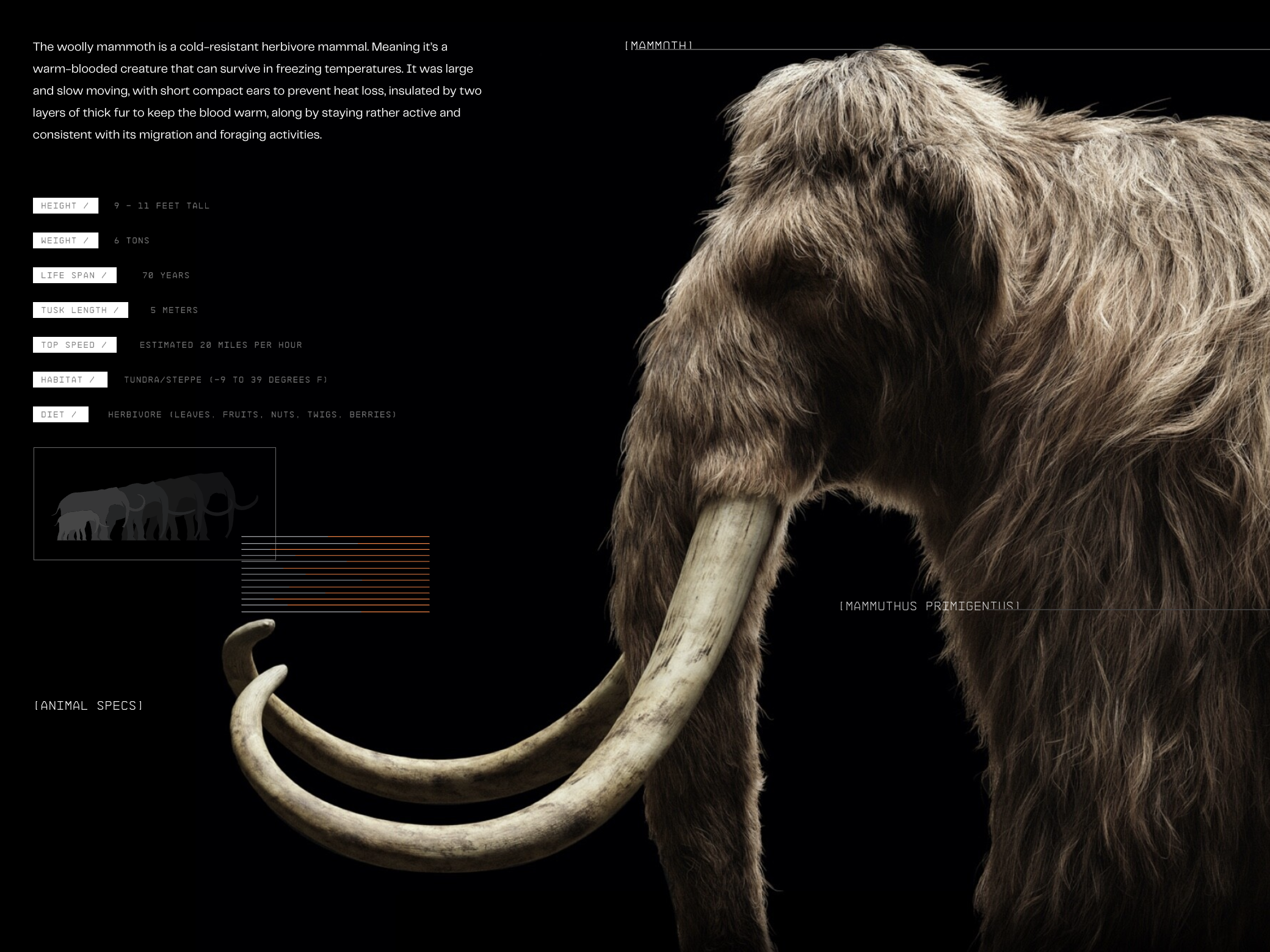 ¿El regreso de los lobos huargo es un caso de ‘desextinción’? Esto sabemos