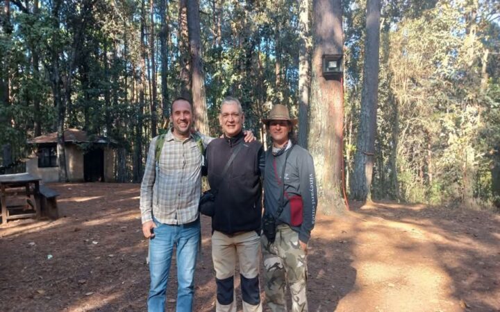 Reaparece en Chiapas el águila arpía, especie que se creía extinta ...