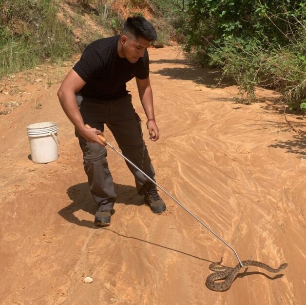 Día Mundial de las Serpientes: cambiar el miedo por el respeto, la ...