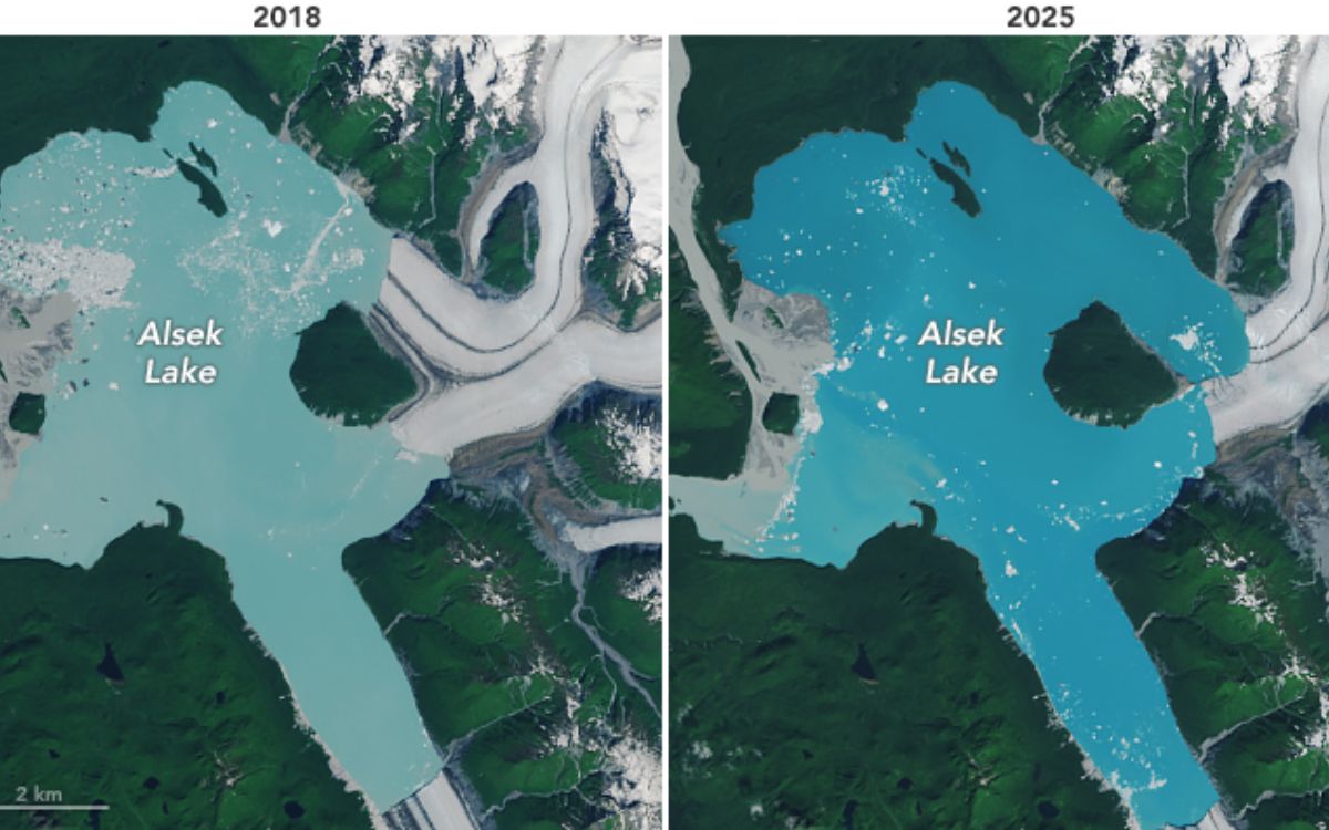 El retroceso glaciar crea una nueva isla en Alaska | Aristegui Noticias