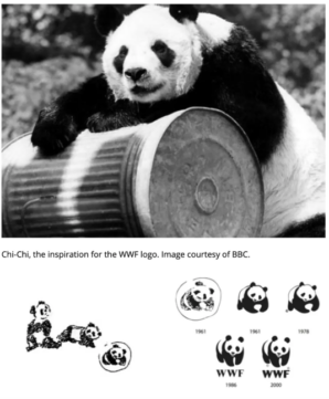 WWF celebra 65 años en la lucha de la conservación ambiental ...
